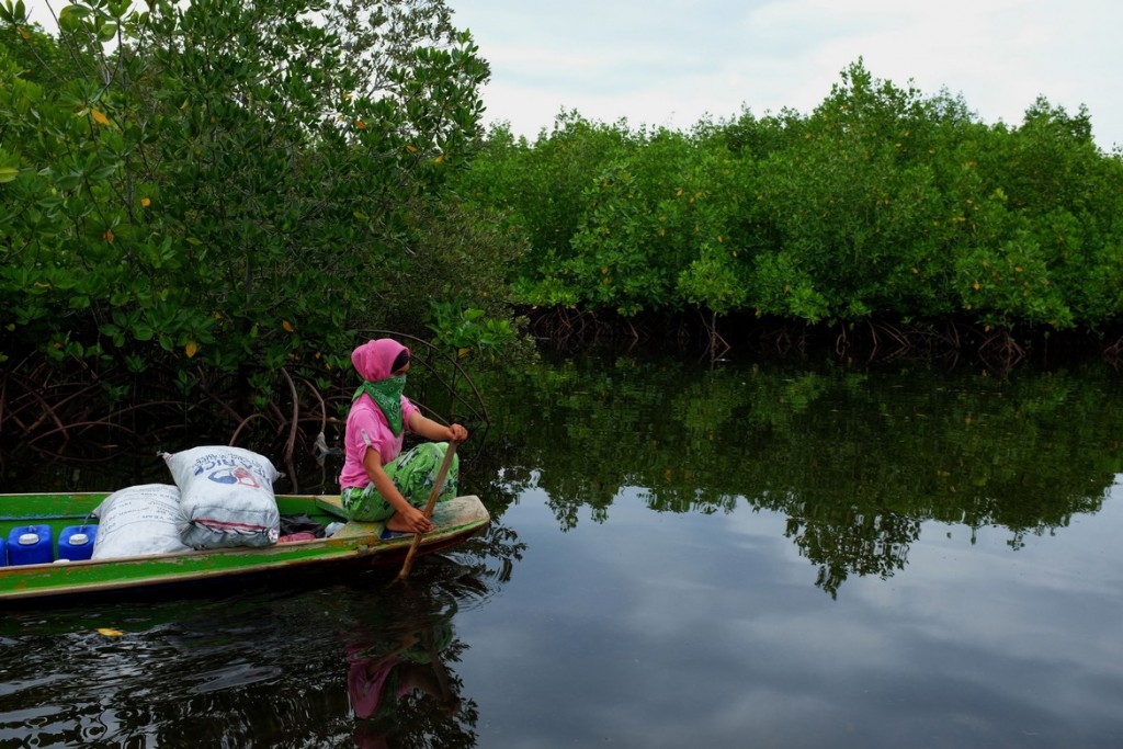 philippines-seaweed-farming-8 | The ICRC in Israel, Golan, West Bank, Gaza