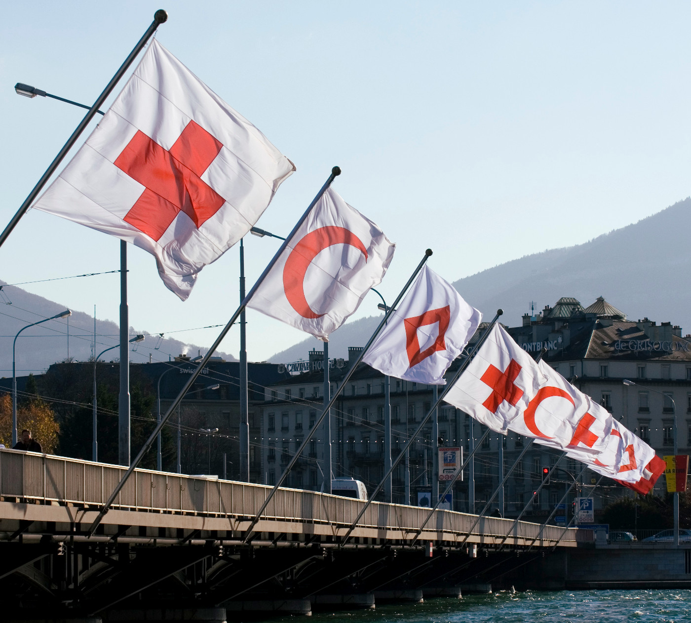 Beyond ratification: National committees and the implementation of ...