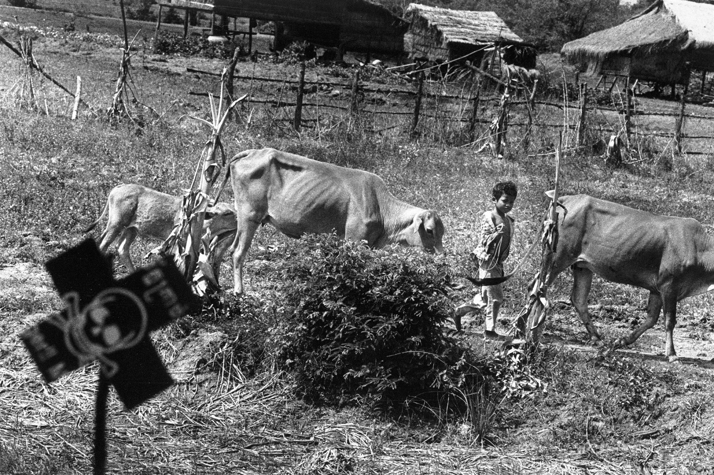 Moving beyond mine risk education to risk awareness and safer behaviour ...