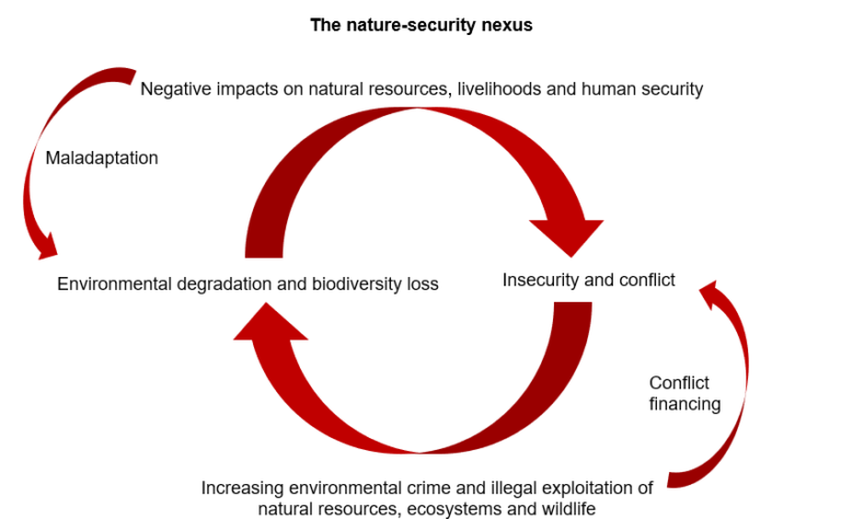The nature-security nexus and the UN Security Council - Humanitarian ...
