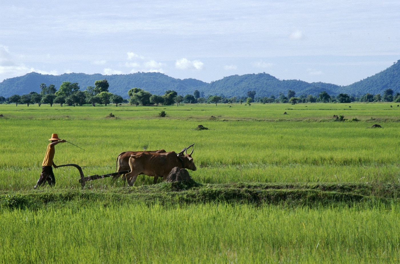 Climate change, environment and humanitarian action in Southeast Asia ...