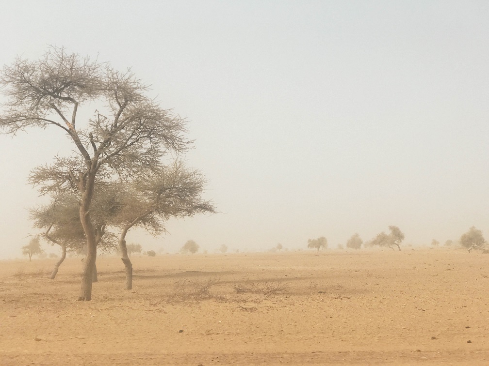 Responding to climate risks in conflict settings: in search of solutions