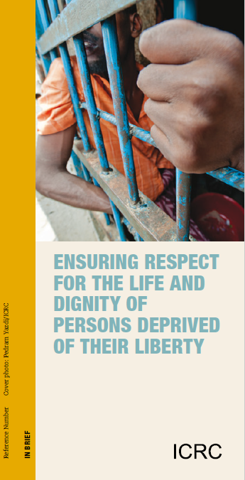 Ensuring Respect For The Life And Dignity Of Persons Deprived Of Their ...