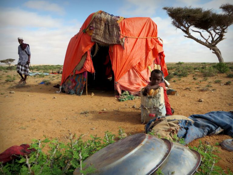 Soomaaliya: Daaweynta xoolaha waxay xoolo-dhaqatada ku soo ridey ...